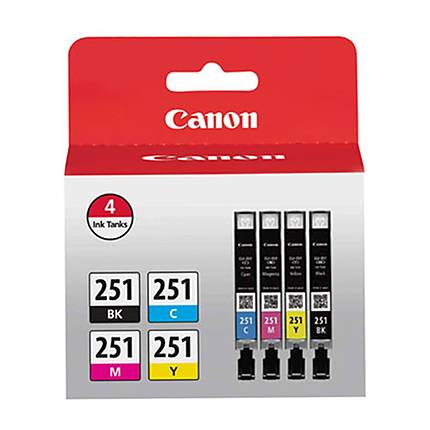 Canon CLI-251 BK/CMY 4 PK Value Pack Ink for Canon InkJet Printers ...