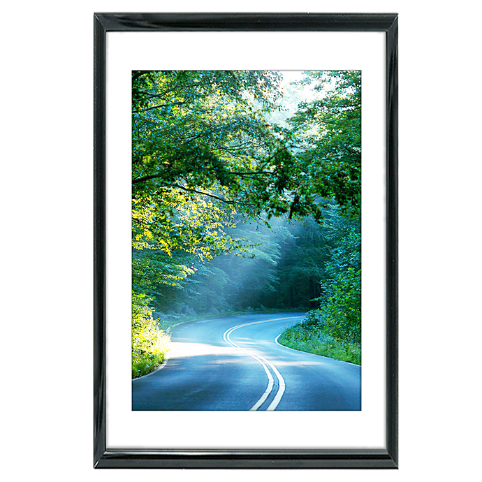 40 X 60 Poster Frame