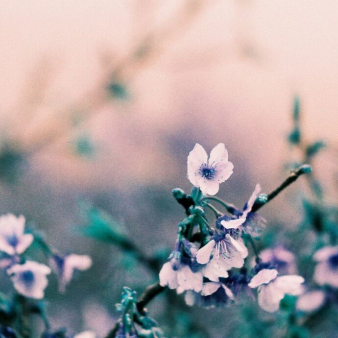 2021 LomoChrome Turquoise 35 mm ISO 100-400 | Film & Supplies ...