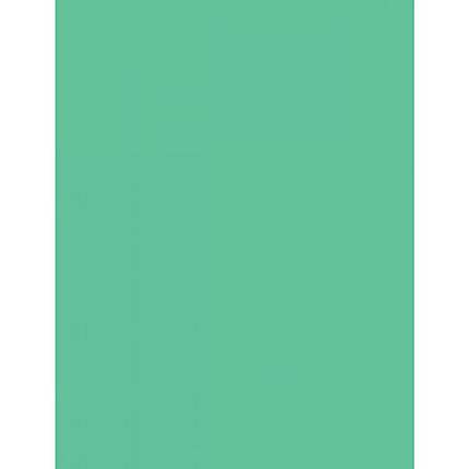 Solid Mint Background