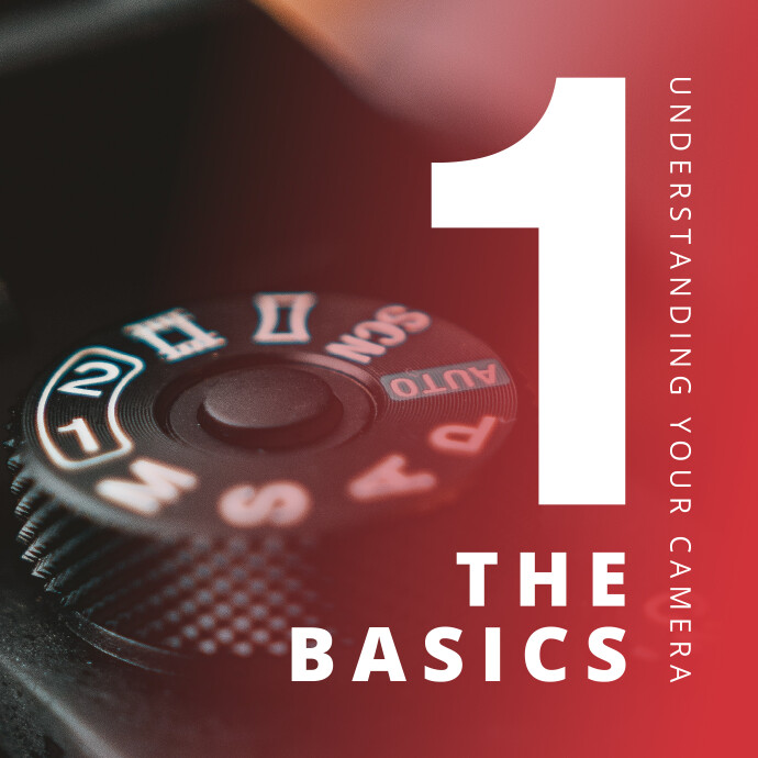 Understanding Your Camera I: The Basics - Unique University at Unique Photo