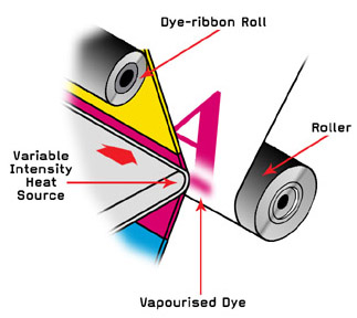 Buying Guide - Buying the Perfect Photo Printer | Unique Photo